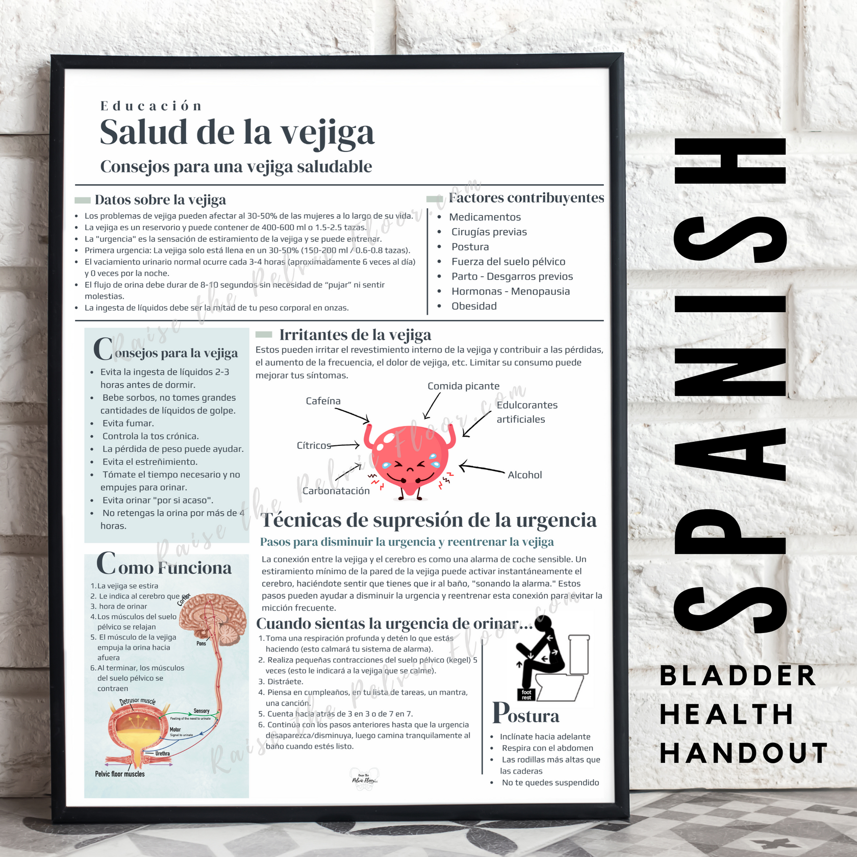 Spanish Bladder Health Patient Education Handout | Bladder Irritants ...