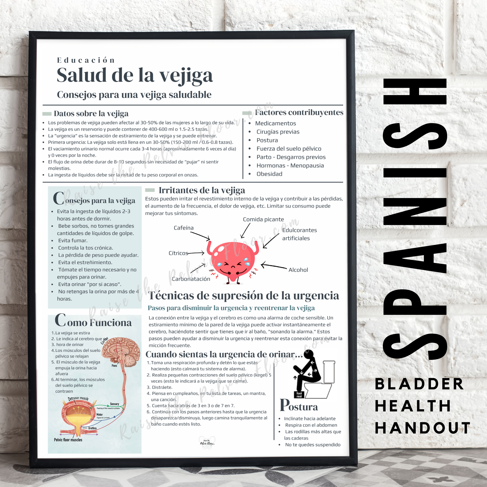 Spanish Bladder Health Patient Education Handout | Bladder Irritants ...