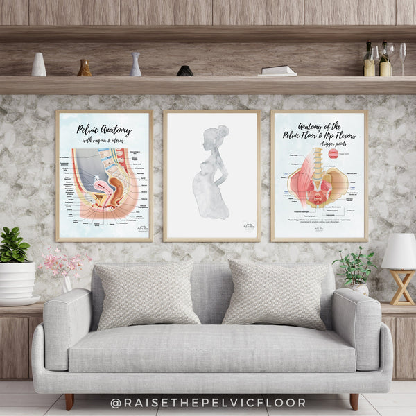 Gender Neutral Pelvic Cavity Anatomy Poster Art | Sagittal Side View ...
