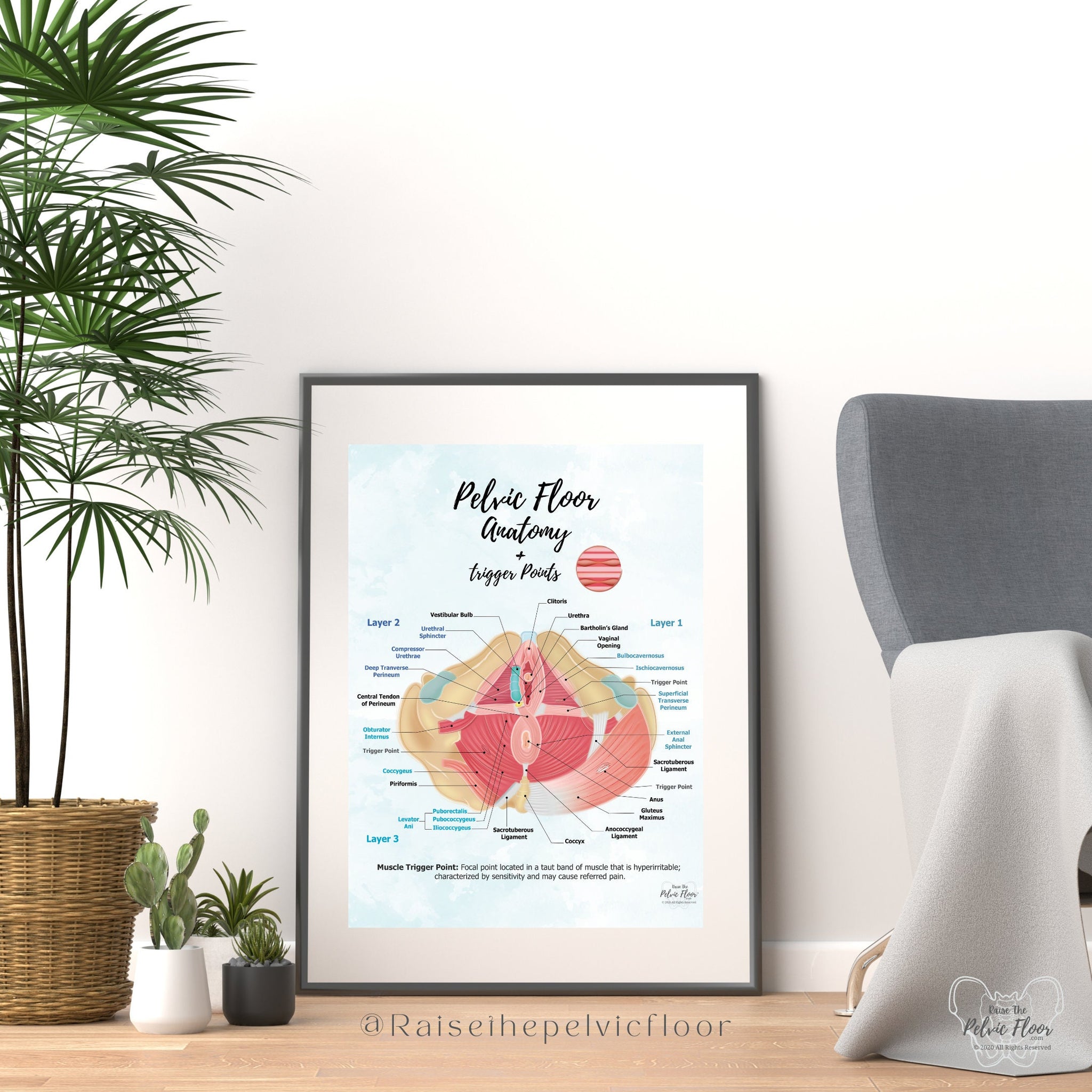 Trigger Points in Pelvic Floor | Anatomy Poster Art – Raise The Pelvic ...
