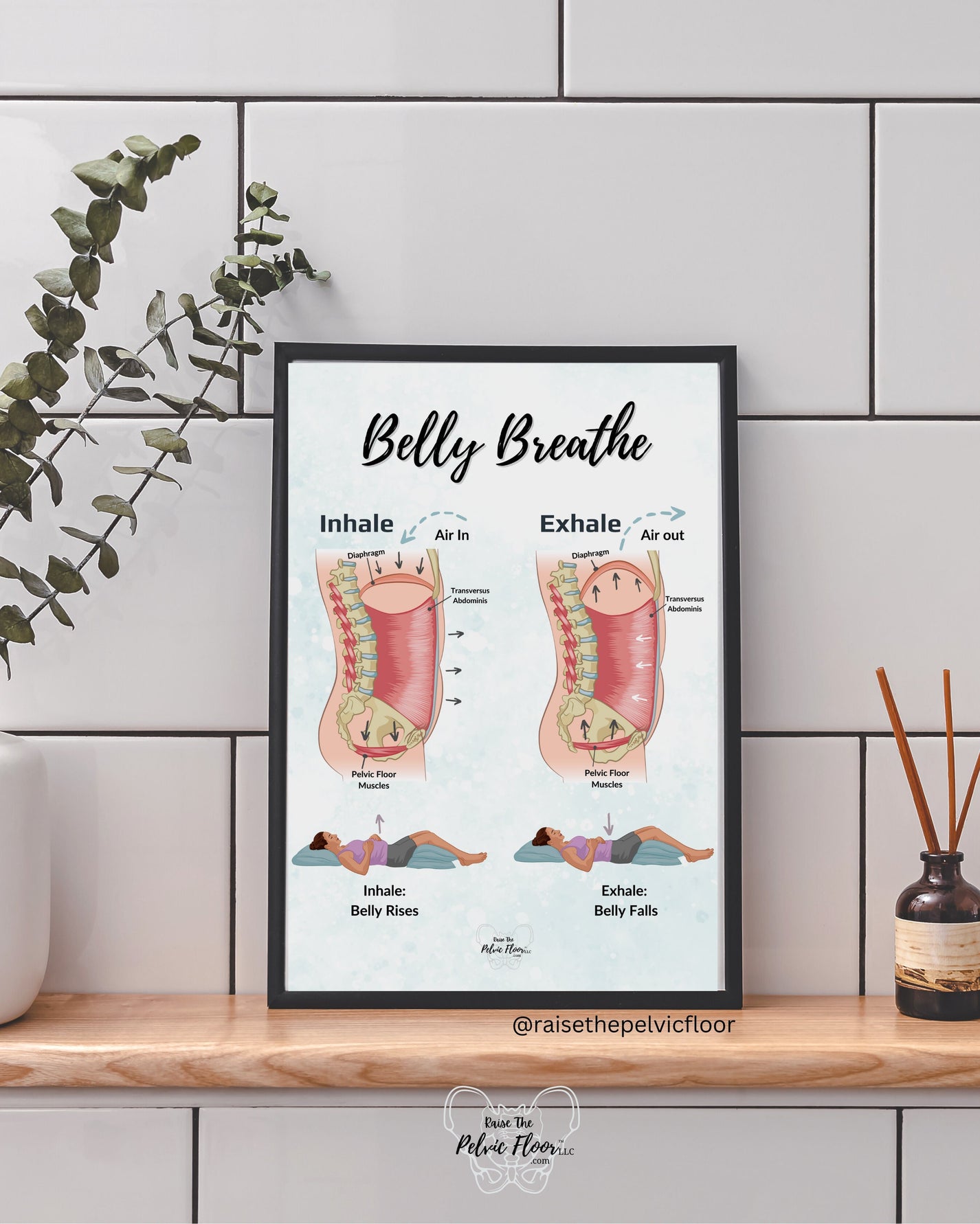 Belly Breathe Pathophysiology Inhale Exhale Education Poster Art| Pelv ...