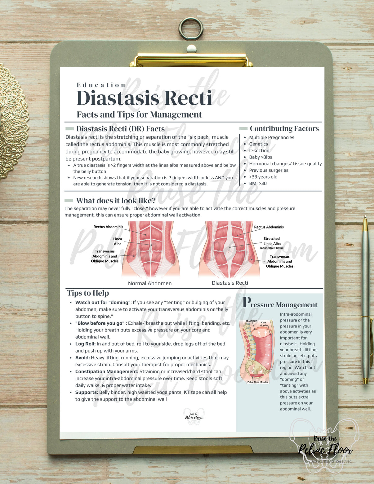 Diastasis Recti Patient Education Handout PDF Digital Download | Postp ...