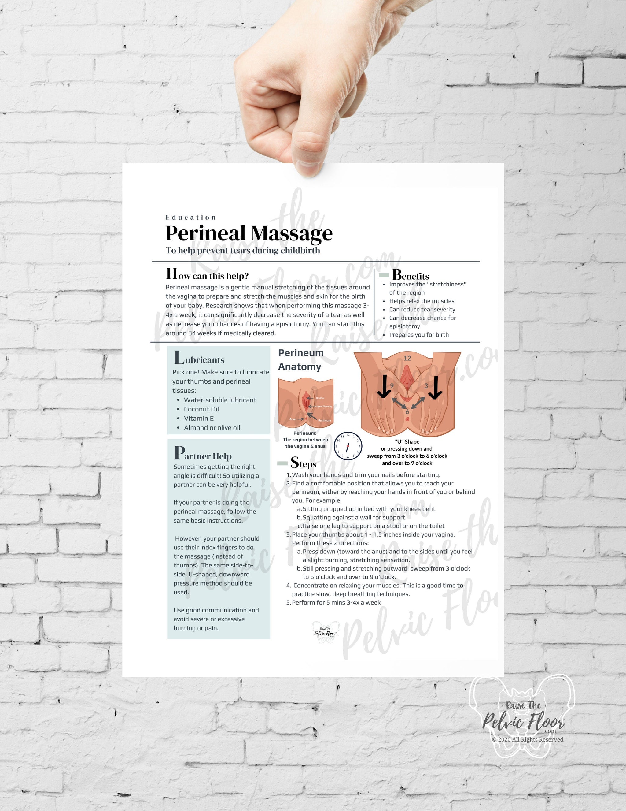 Digital Download* Perineal Massage Instruction Handout Flyer- Pregnanc – Raise The Pelvic Floor