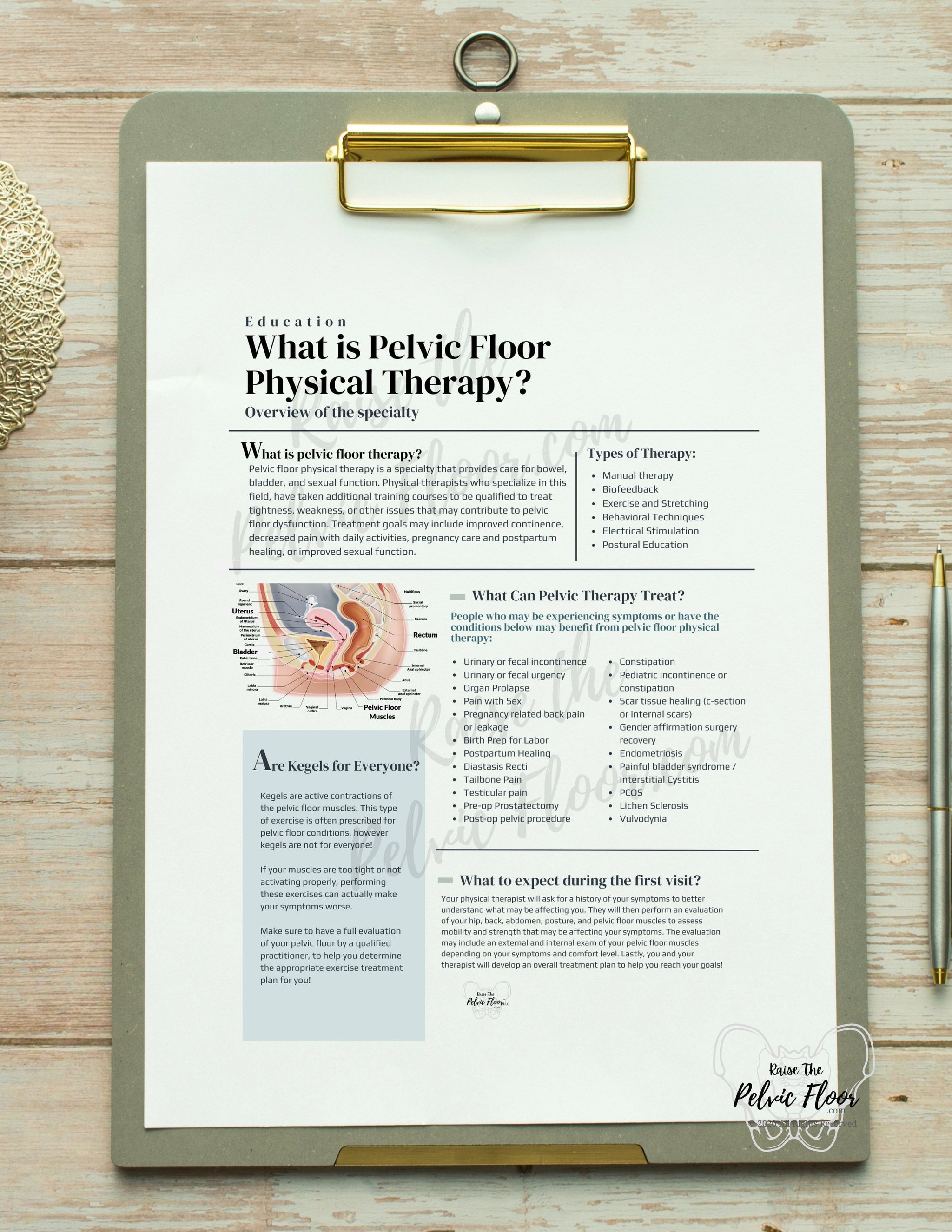 What is Pelvic Floor Physical Therapy Handout | *DIGITAL DOWNLOAD* Pat ...