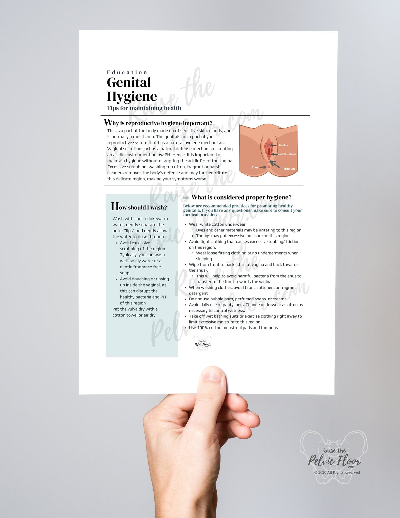 Digital Download- Reproductive/ Genital Hygiene and Vulvar Care Patien ...